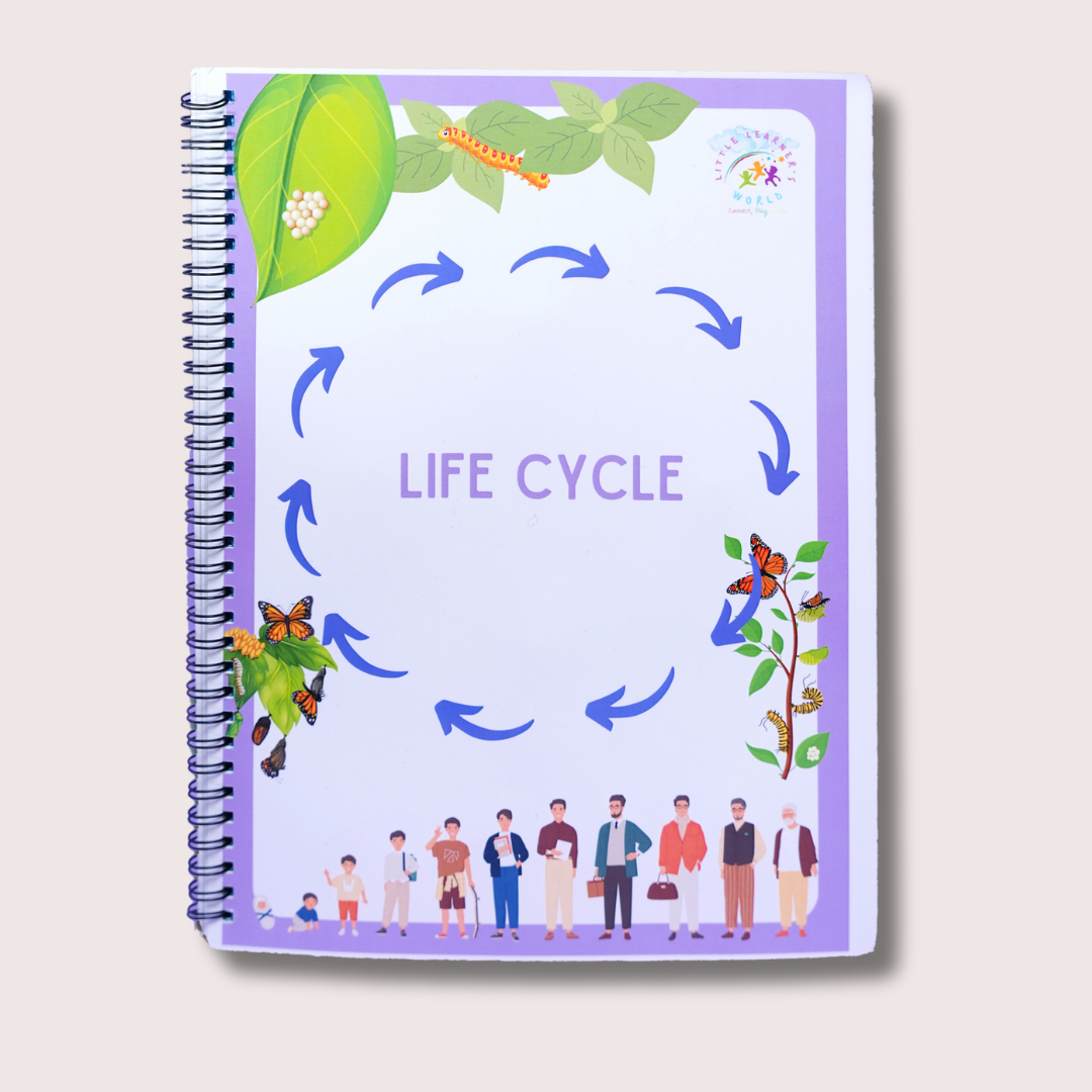 Life cycle – Little Learners World